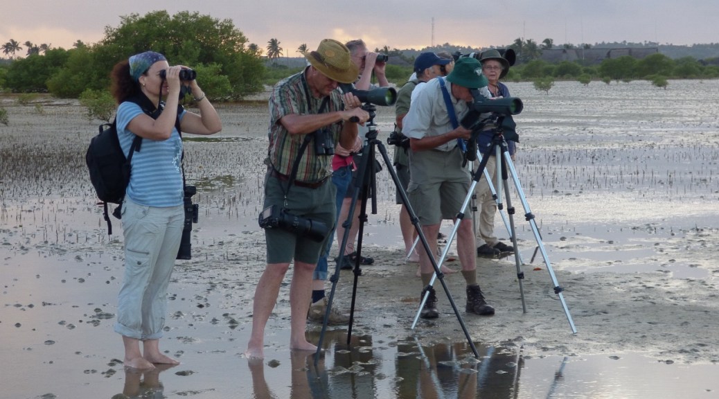 Birding Trips | Mostly Birding