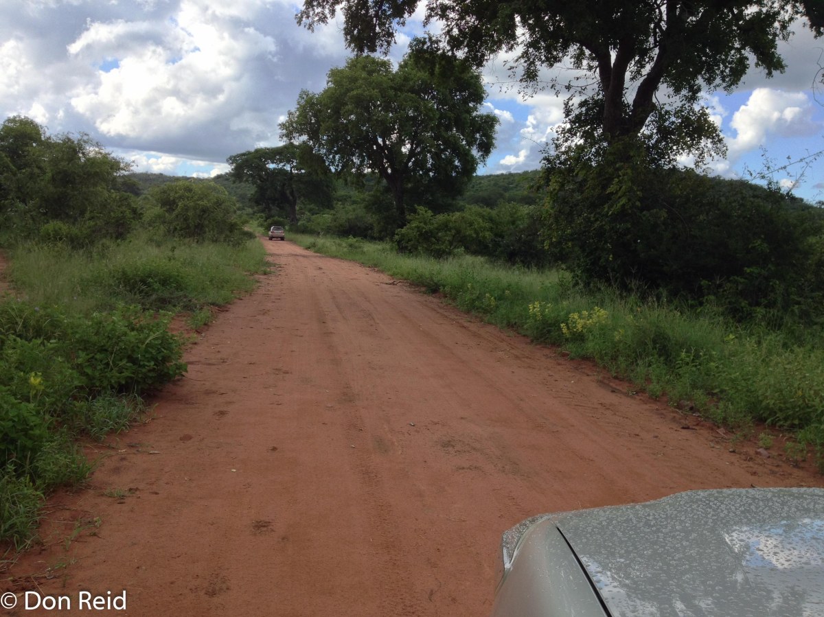 Punda Maria | Mostly Birding