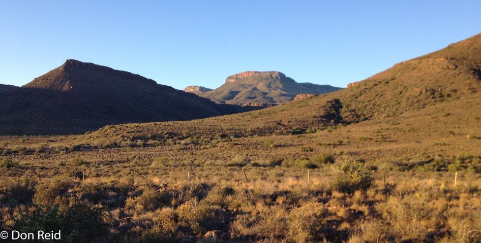 Karoo National Park – Just for a Night | Mostly Birding