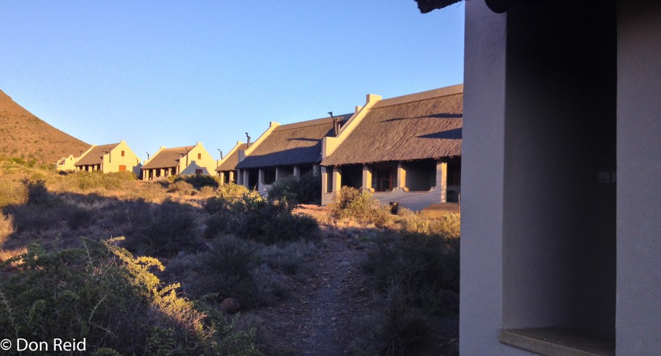 Karoo National Park – Just for a Night | Mostly Birding