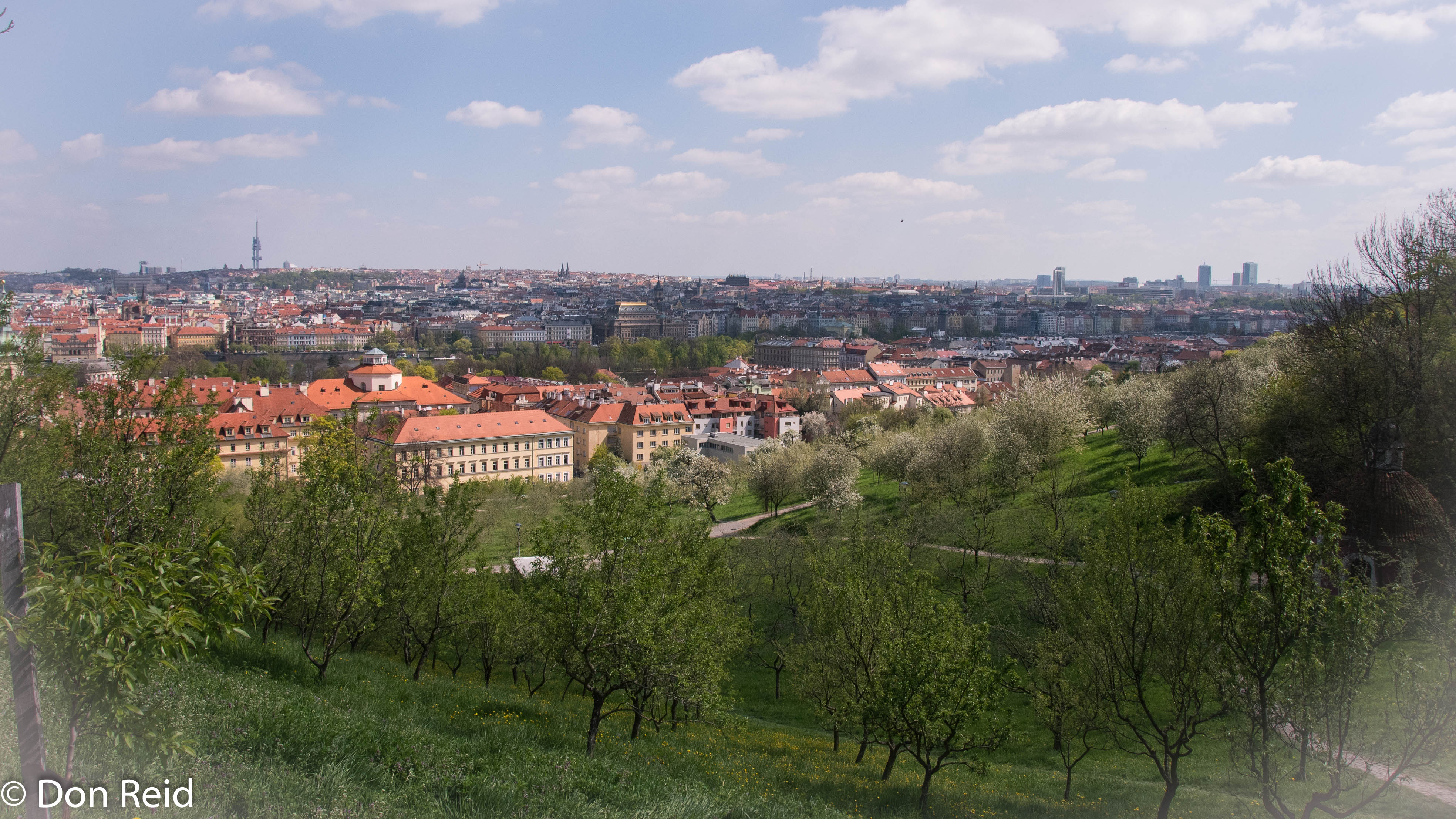 Czech it out – Prague : Hills and a Palace | Mostly Birding