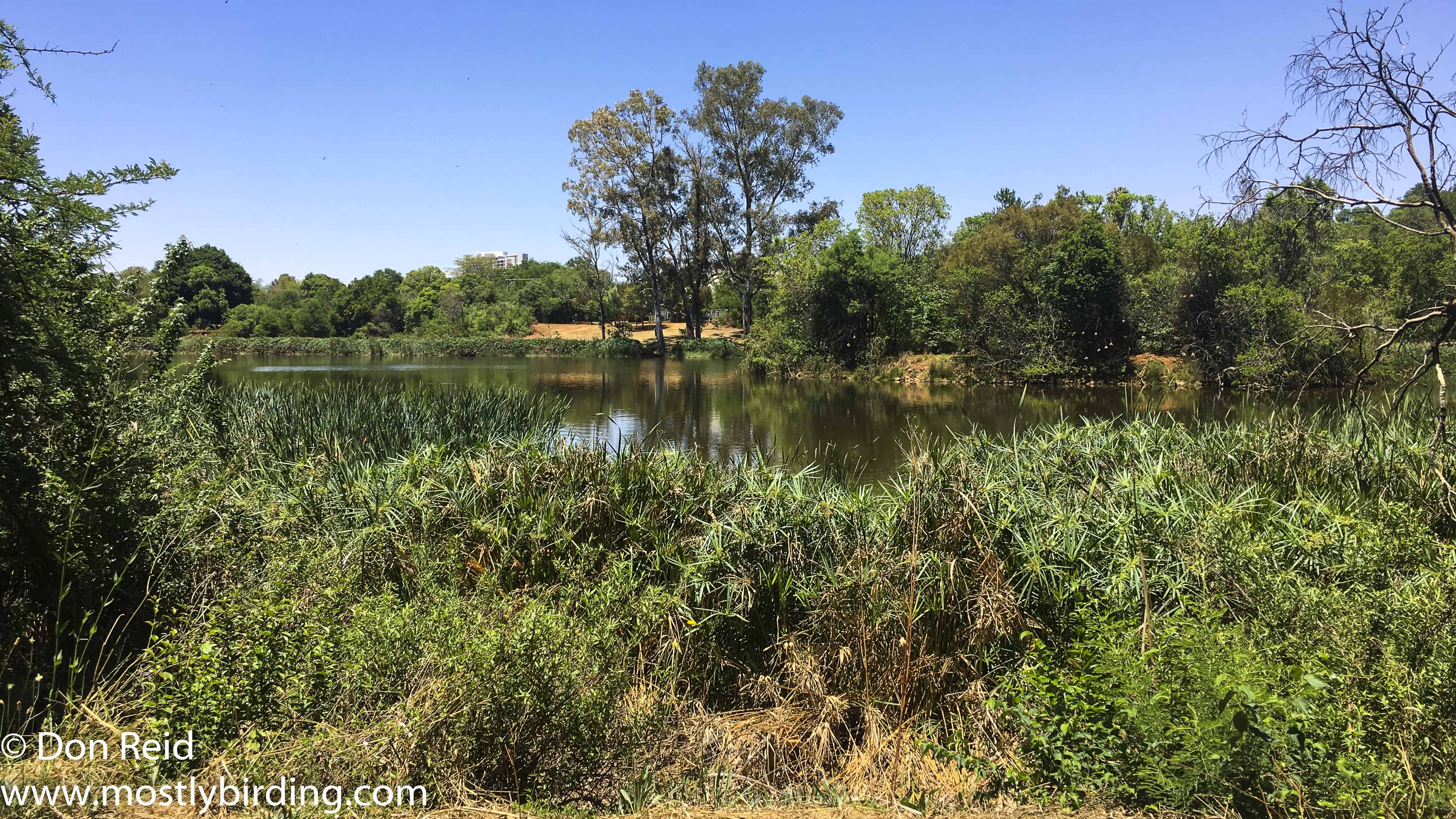 My Atlasing Month – February 2020 (Part One) | Mostly Birding