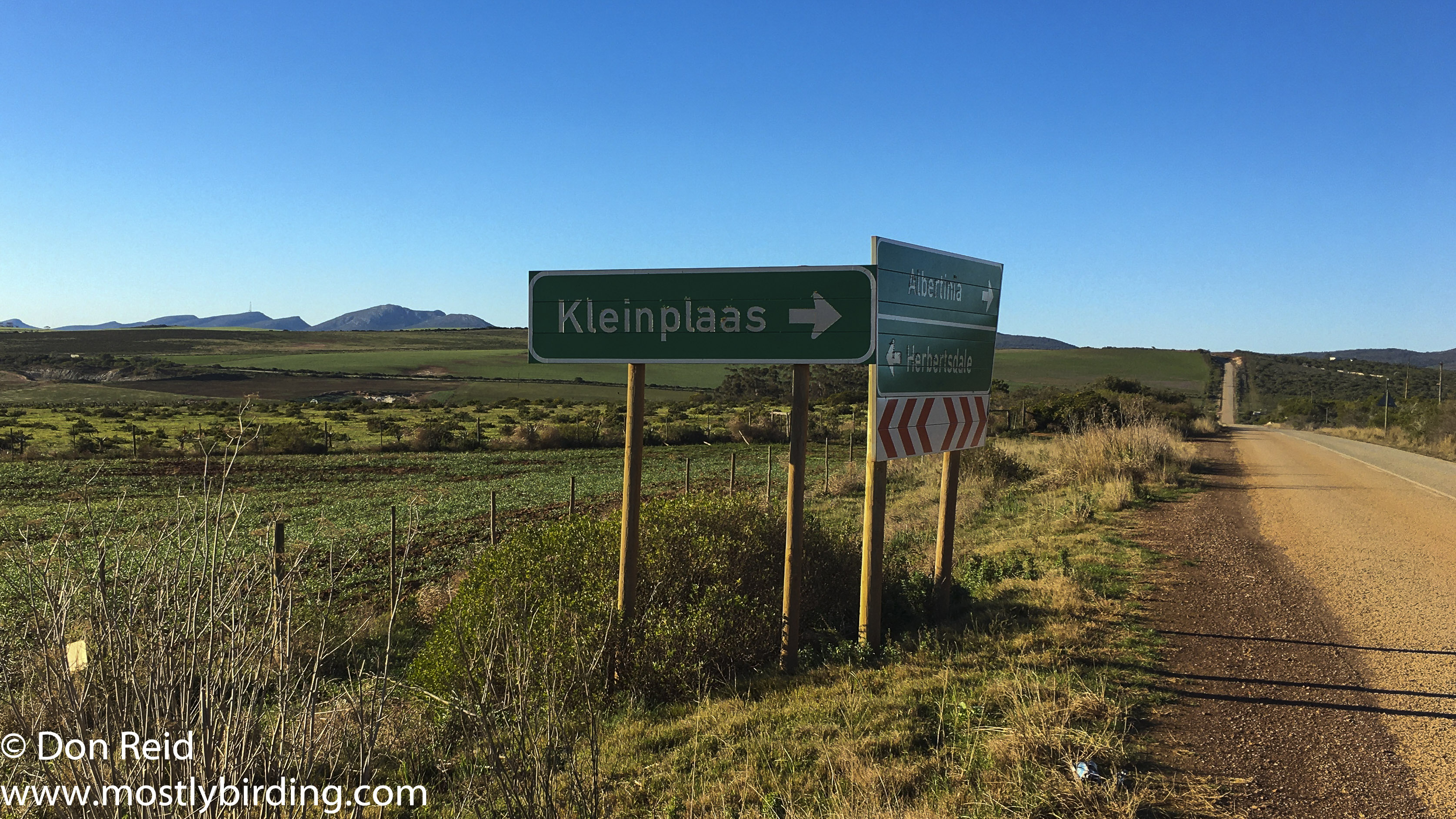 Albertinia | Mostly Birding