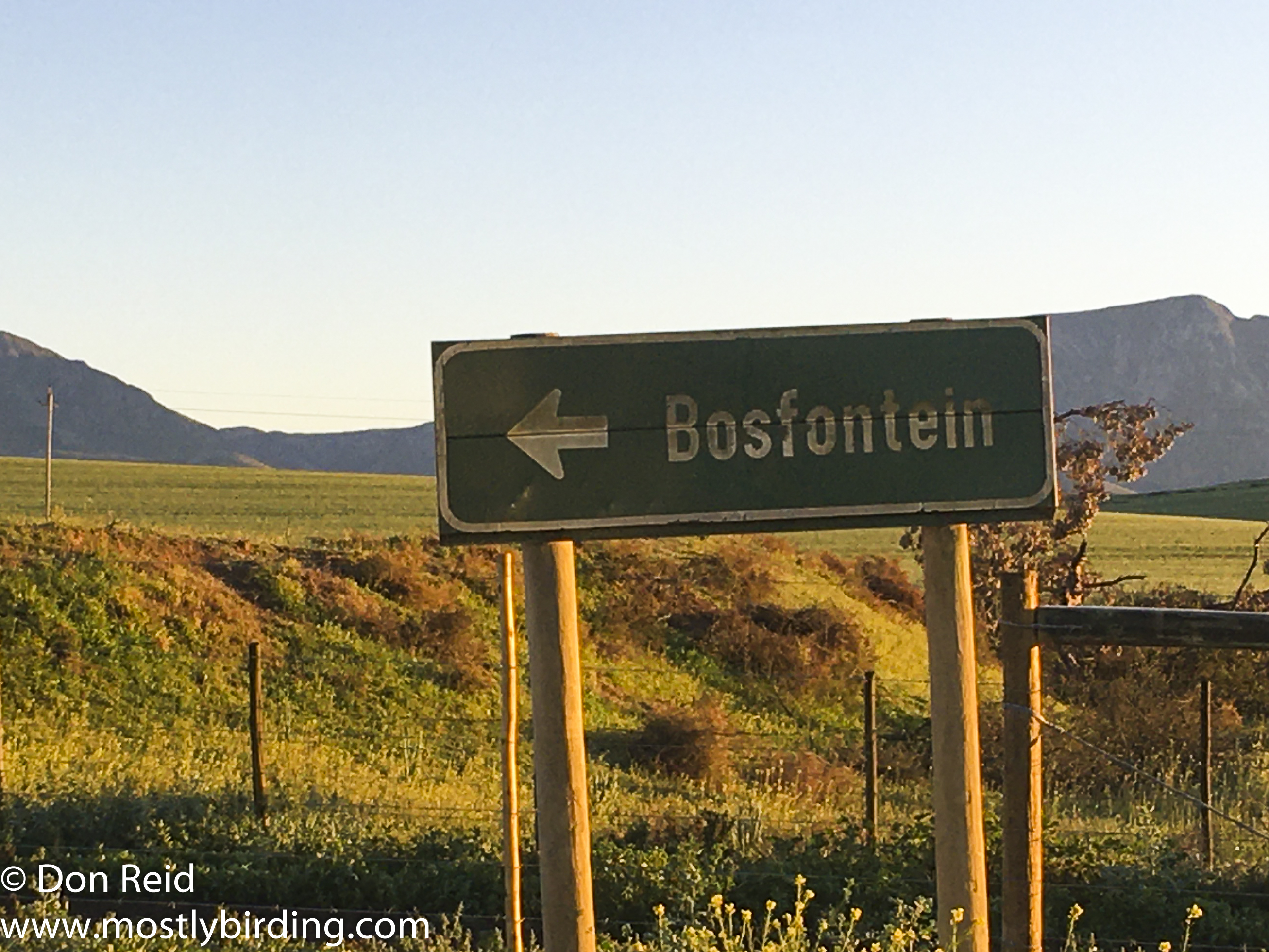 My Atlasing Month – August 2020 : Albertinia Area | Mostly Birding