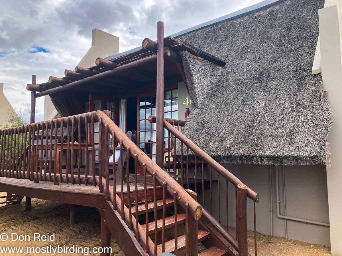 Addo Elephant National Park – Stoepsitting | Mostly Birding