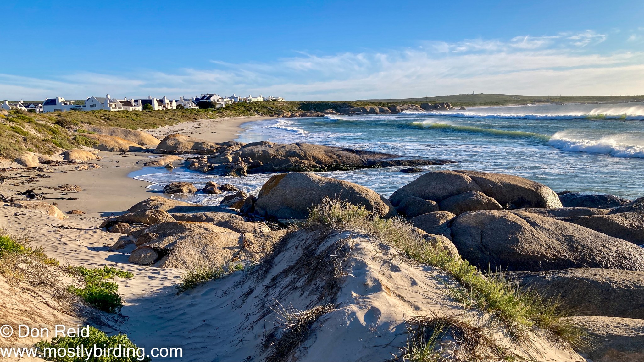 Paternoster – Spring Flowers, Birds and Beaches | Mostly Birding