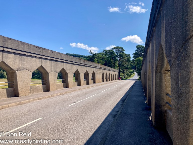 A Week in Scotland – the Magnificent Findhorn Valley | Mostly Birding