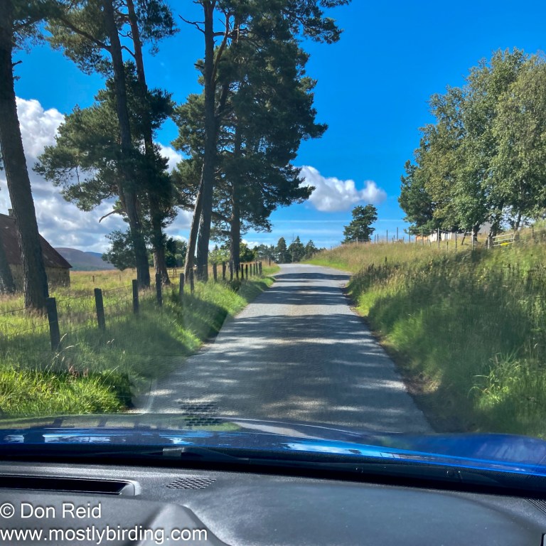 A Week in Scotland – the Magnificent Findhorn Valley | Mostly Birding