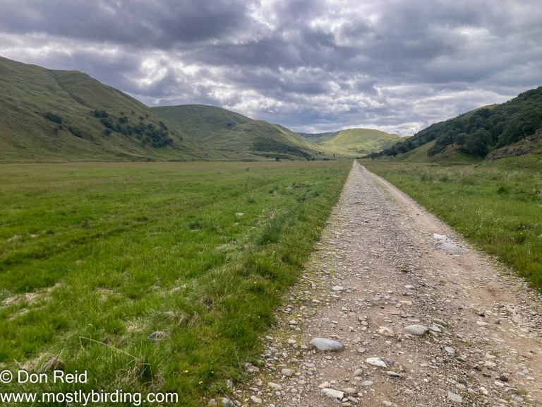 A Week in Scotland – the Magnificent Findhorn Valley | Mostly Birding