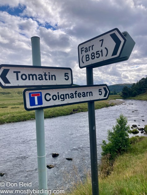 A Week in Scotland – the Magnificent Findhorn Valley | Mostly Birding