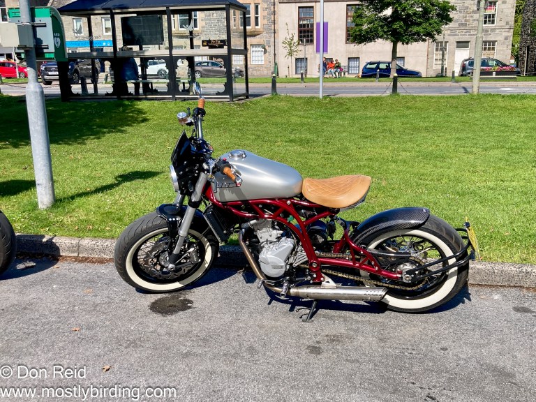 A Week in Scotland – the Magnificent Findhorn Valley | Mostly Birding