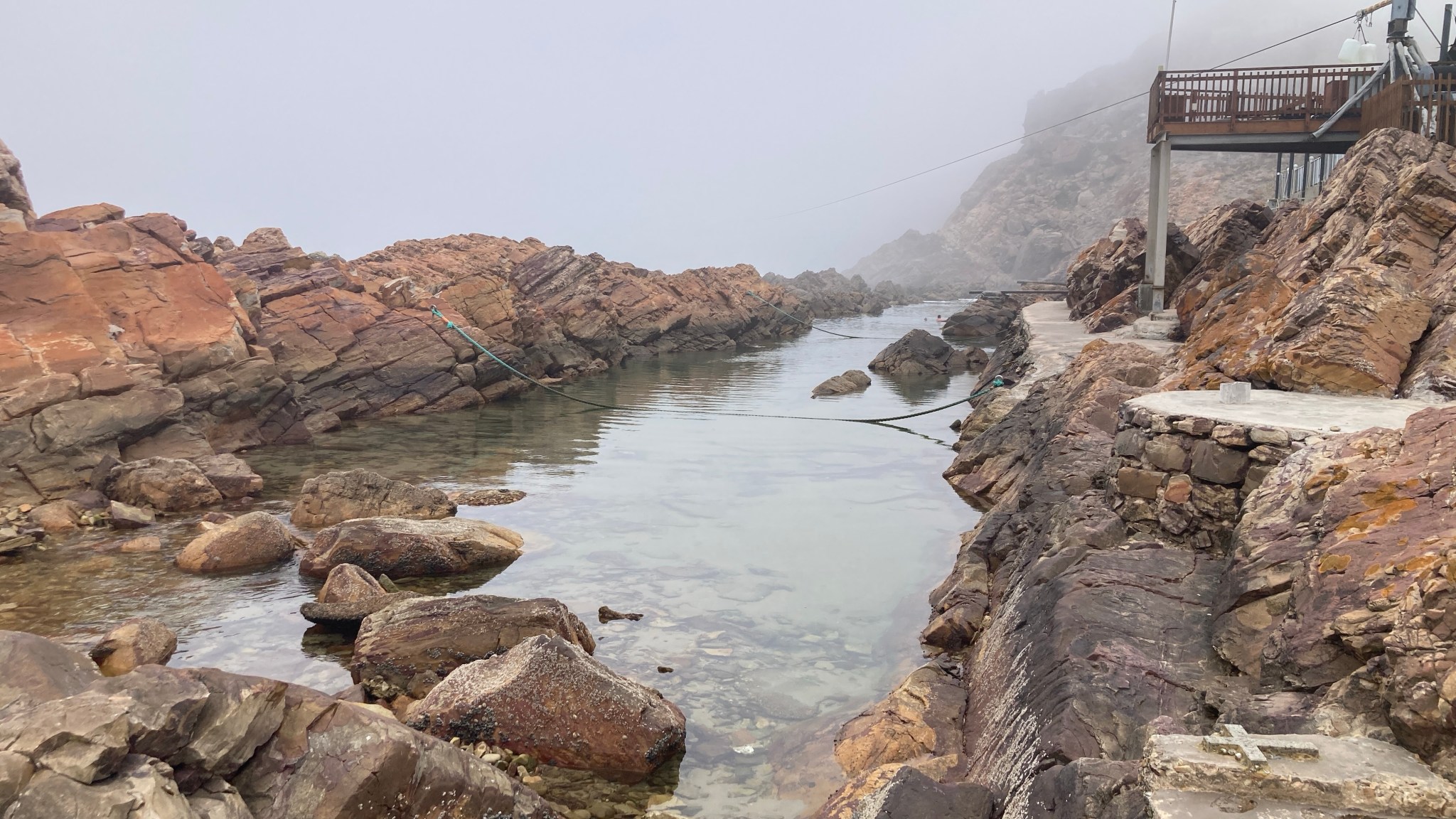 Misty Days in Mossel Bay | Mostly Birding